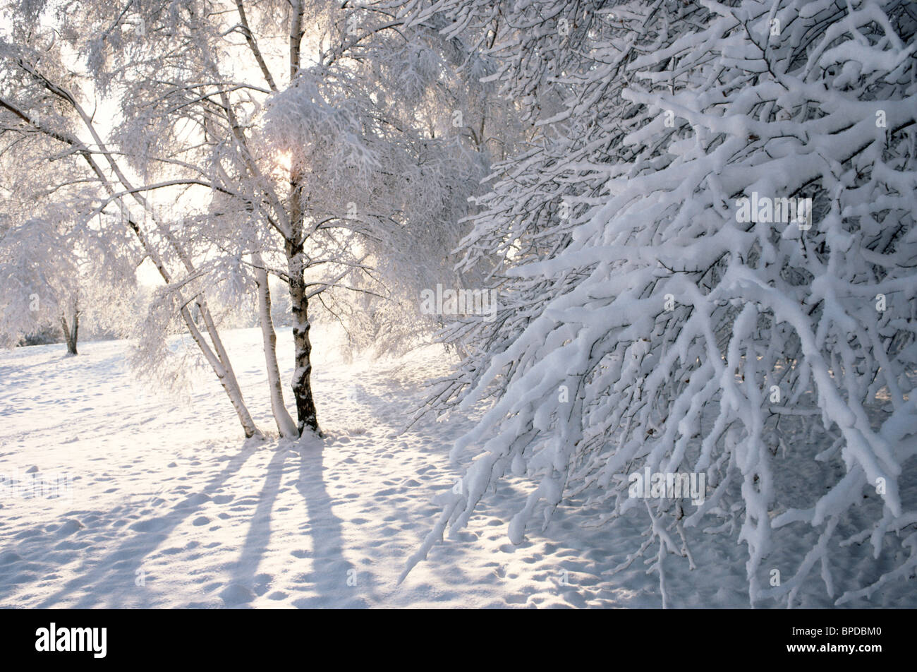Vibrant winter scene at midday Stock Photo - Alamy