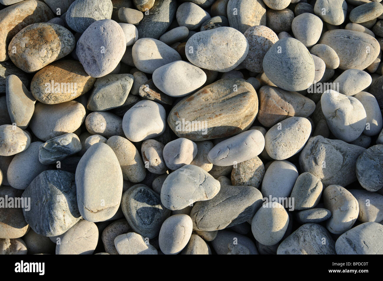 Detail of pebbles on a beach Stock Photo - Alamy