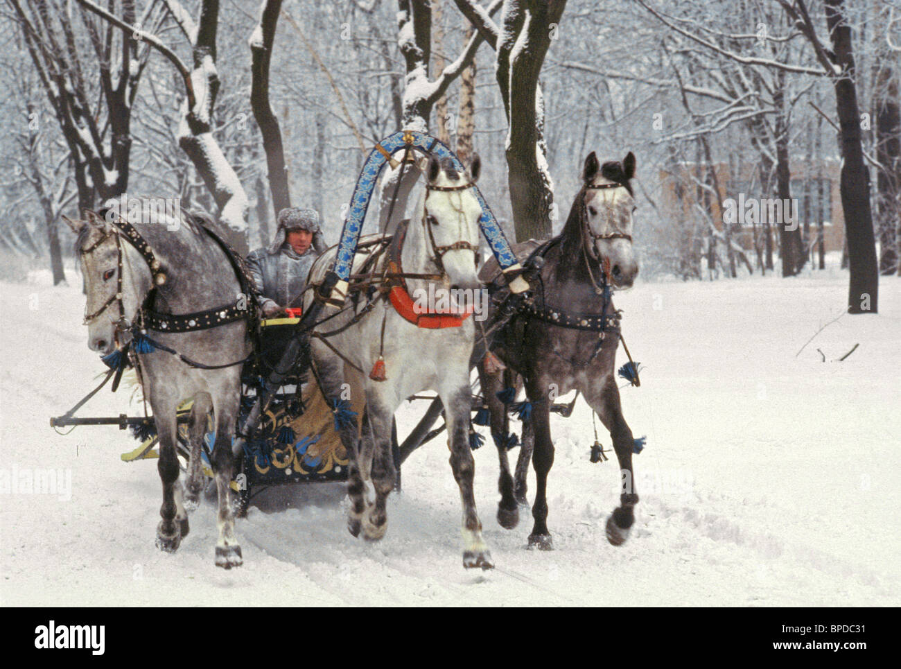 Troika Sleigh High Resolution Stock Photography and Images - Alamy
