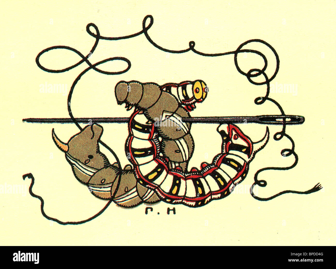 Two сaterpillars, mounted to a sewing needle Stock Photo - Alamy