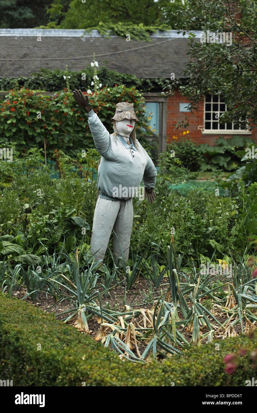 Scarecrows hi-res stock photography and images - Alamy