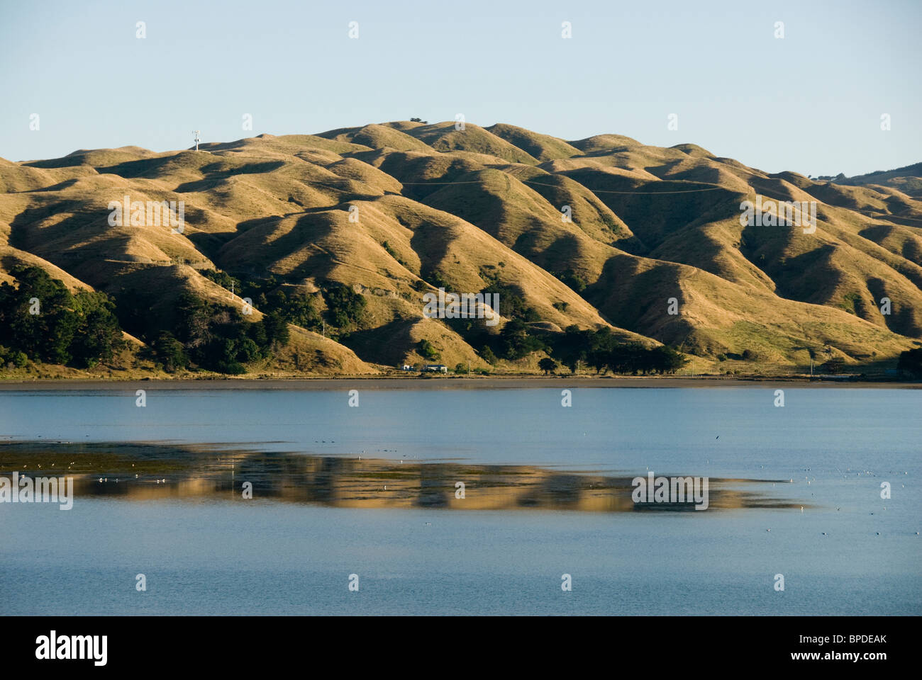 Evening light on hills beside Pauatahanui Inlet, Porirua harbour ...