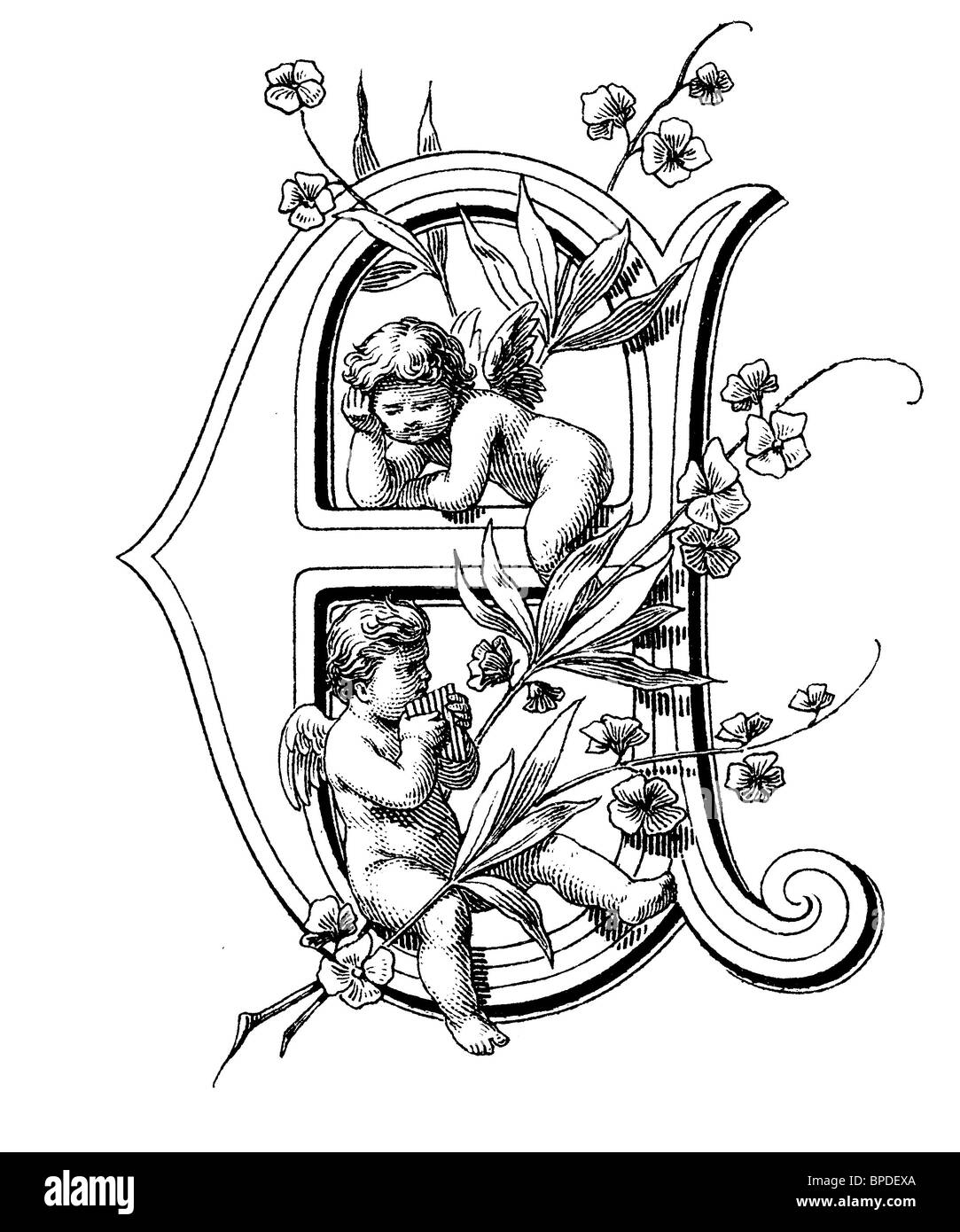 Alphabetic e hi-res stock photography and images - Alamy