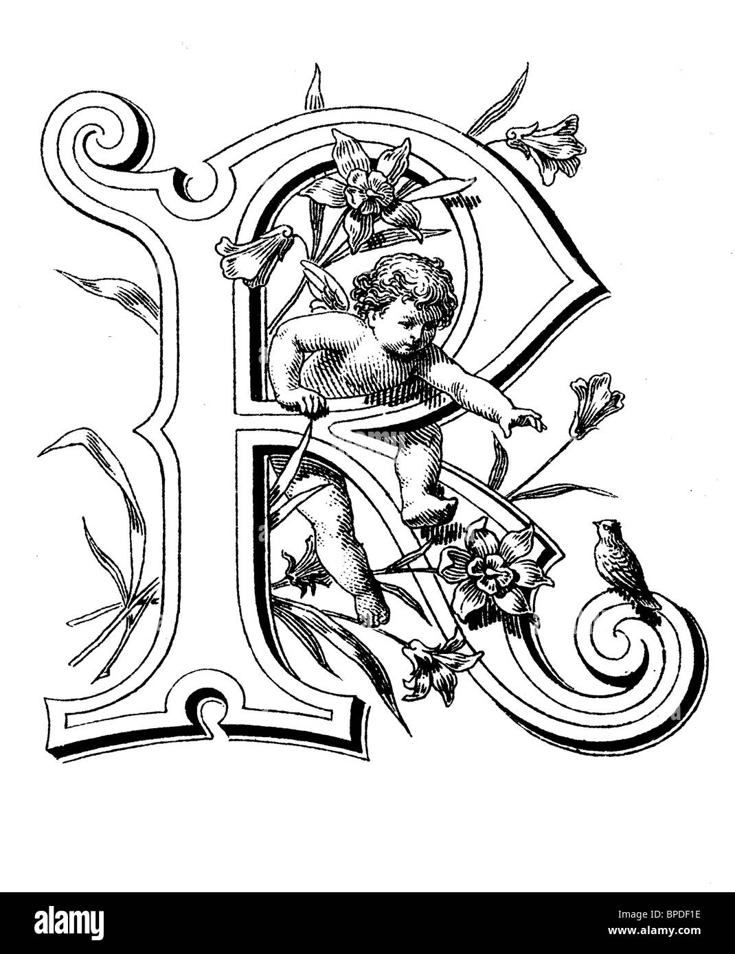 Alphabetic character, letter R, cupid Stock Photo - Alamy