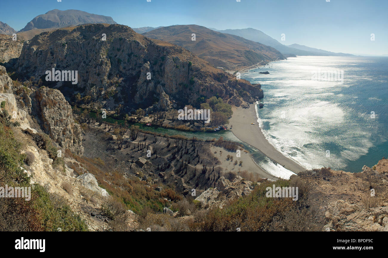 Preveli fire damage to palm forest Crete Greece Stock Photo - Alamy