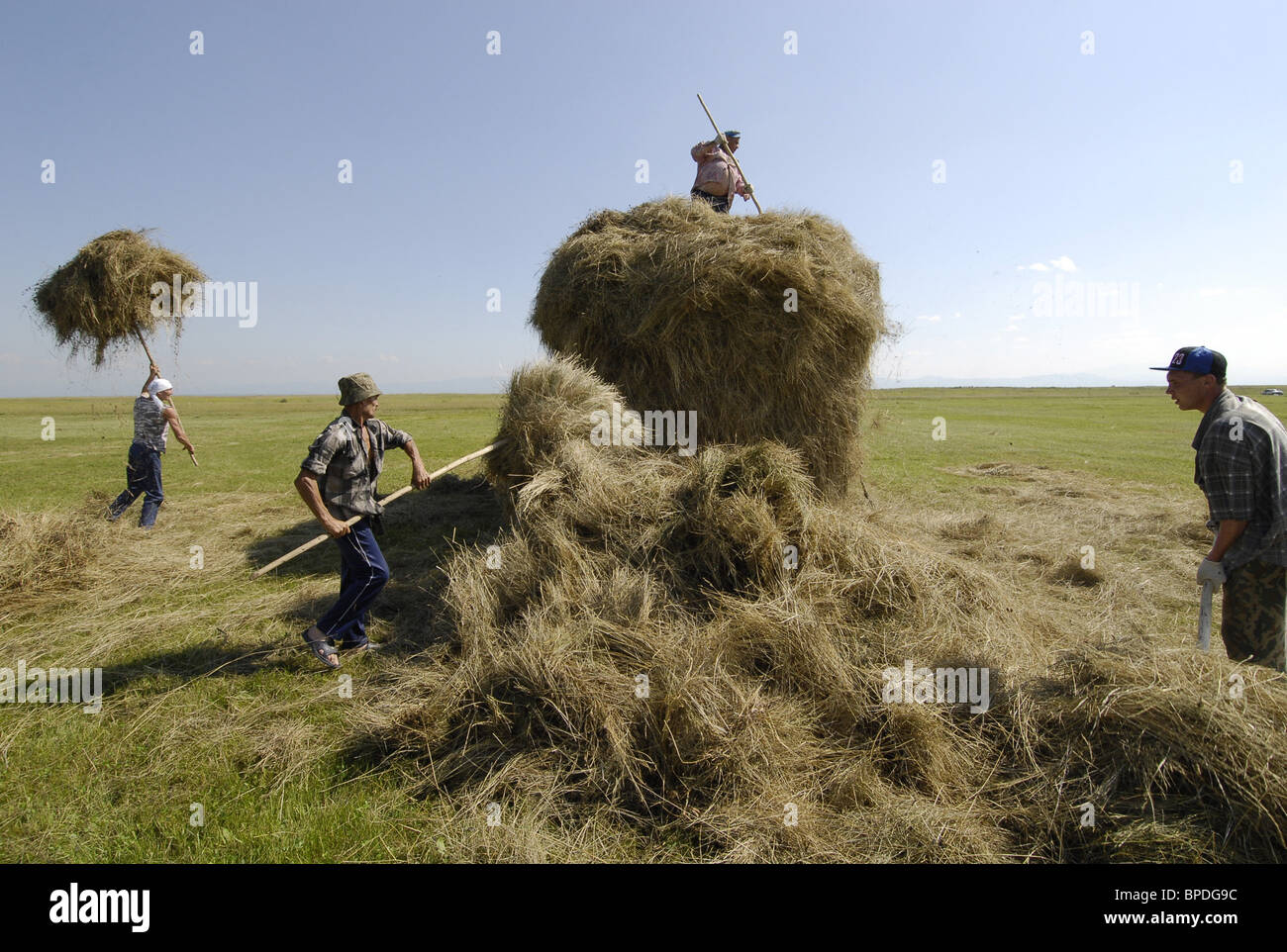 Traditional Haymaking High Resolution Stock Photography and Images - Alamy