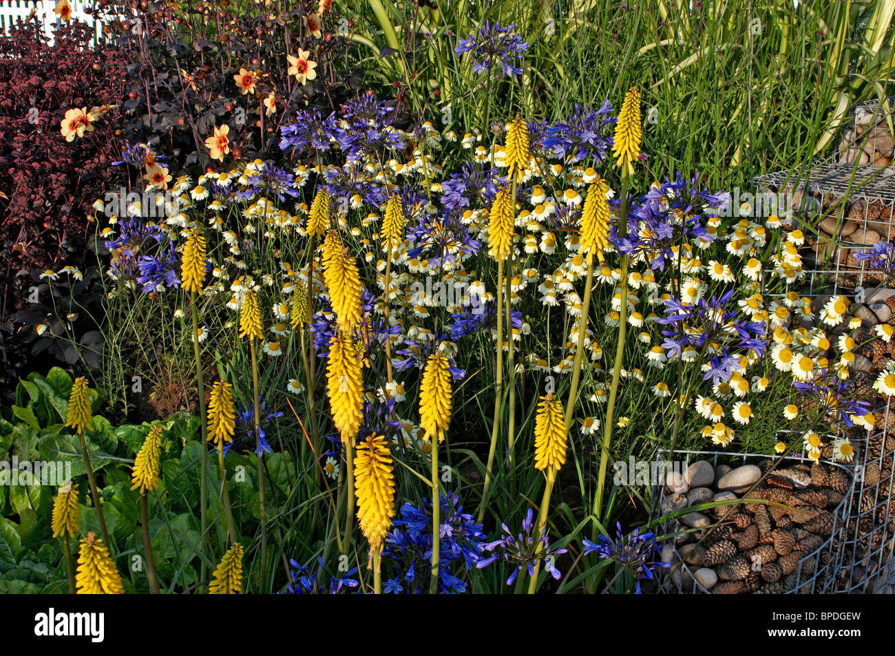 Colourful flowering border in summer with close up detail of the plants ...