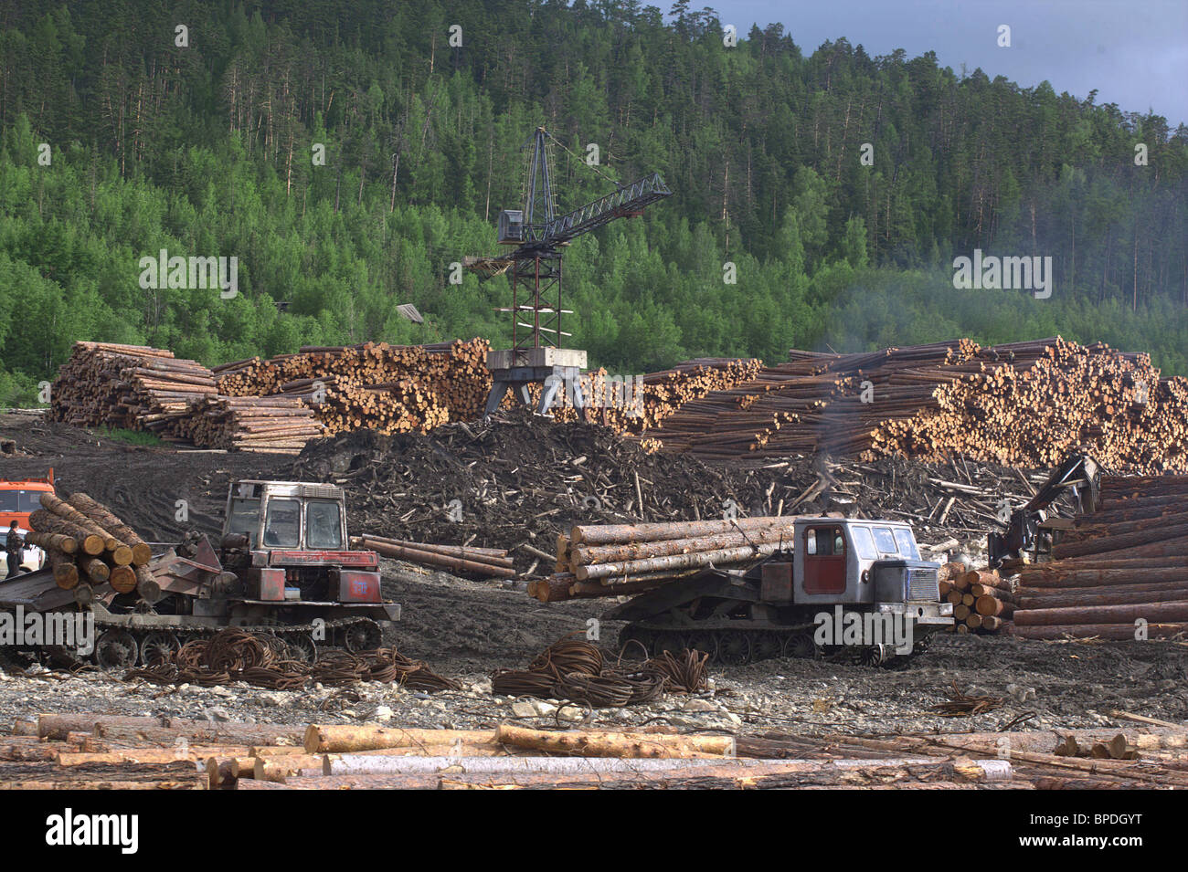 Floating Logs Down River High Resolution Stock Photography and Images ...