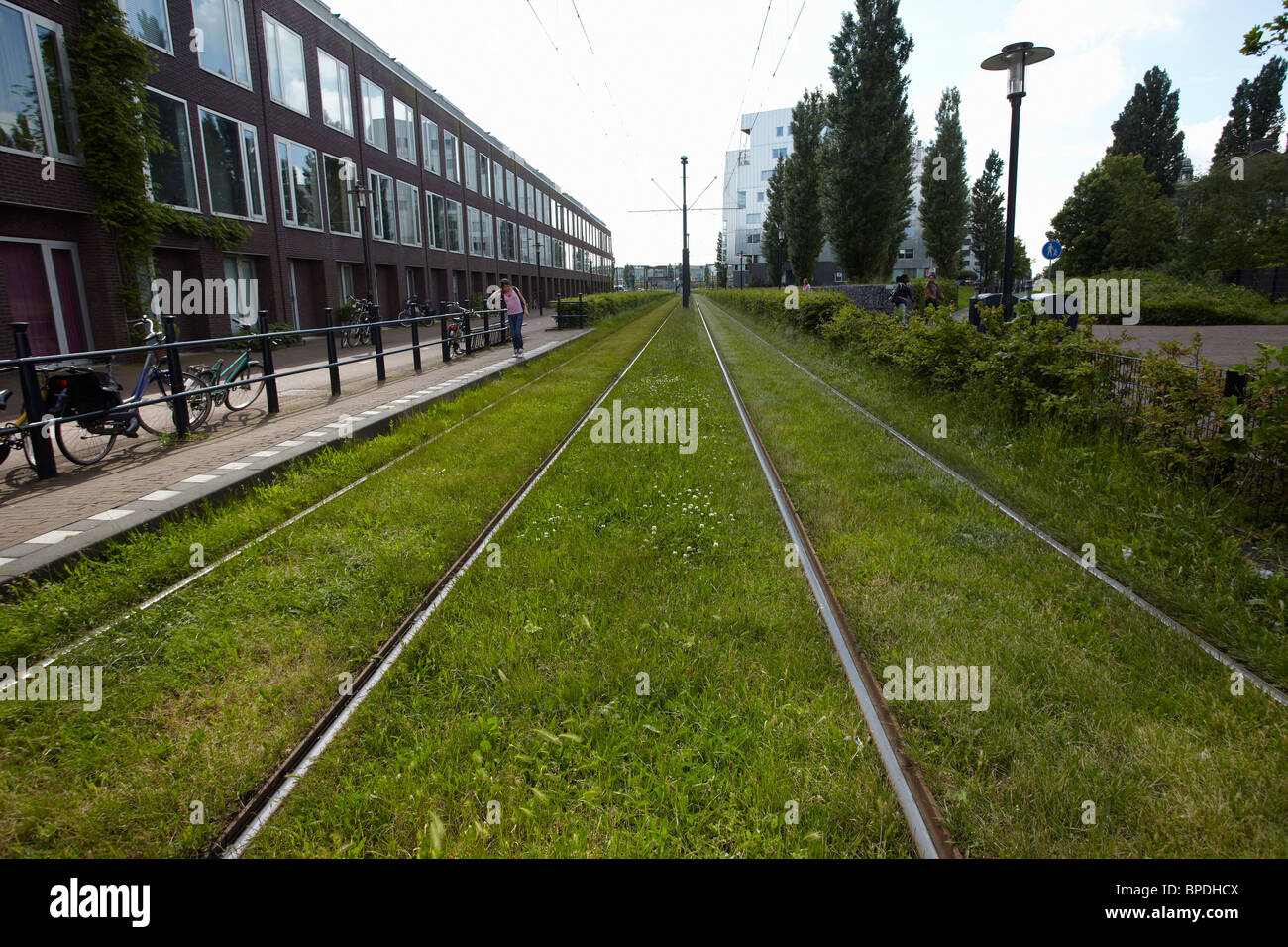Eastern Docklands walk in Amsterdam Stock Photo - Alamy