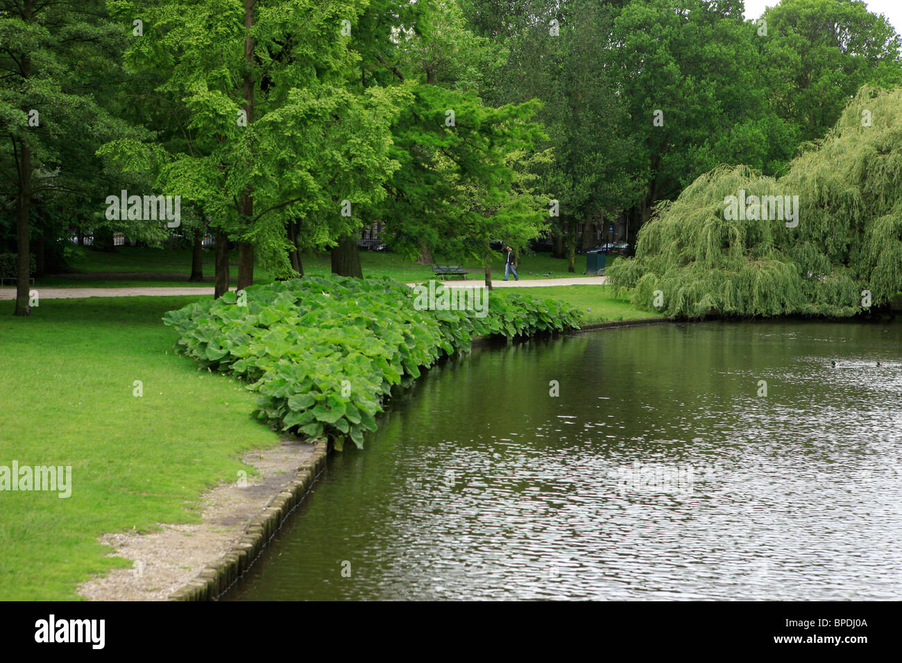 Sarphatipark amsterdam hi-res stock photography and images - Alamy