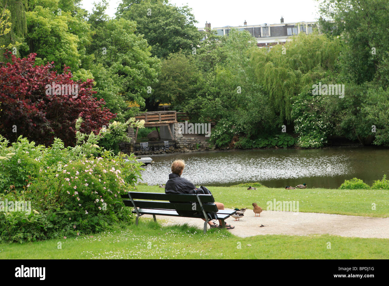 Sarphatipark in Amsterdam Stock Photo - Alamy