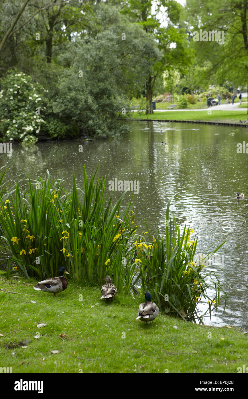 Oosterpark in Amsterdam Stock Photo - Alamy