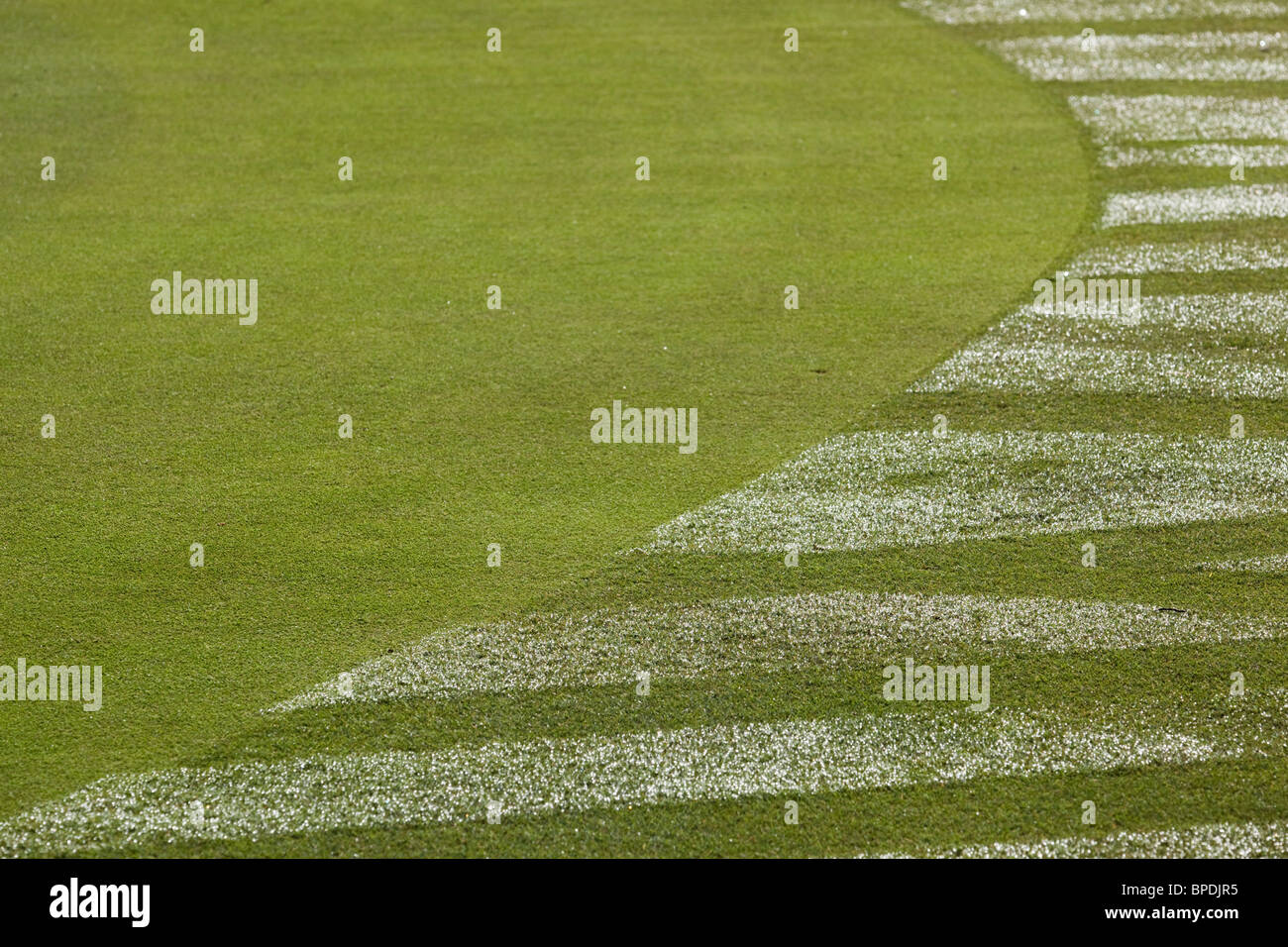 Green tracks hi-res stock photography and images - Alamy