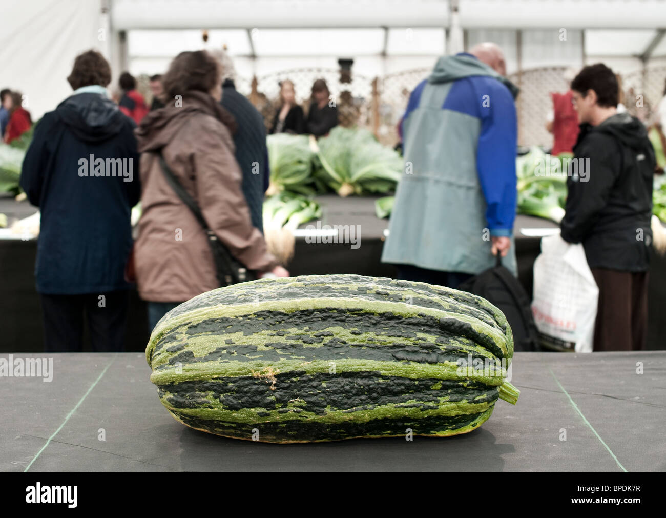 Giant marrow hi-res stock photography and images - Alamy