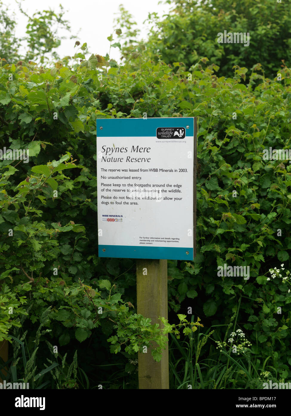 Surrey England Spynes Mere Nature Reserve Sign By Footpath Surrey ...