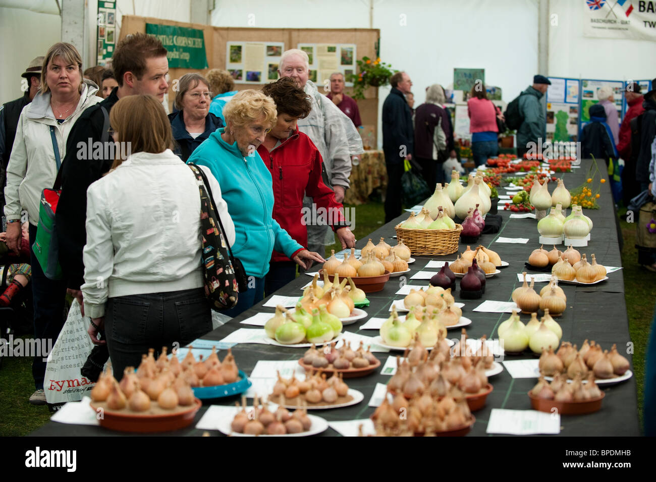 Show Onions High Resolution Stock Photography and Images - Alamy