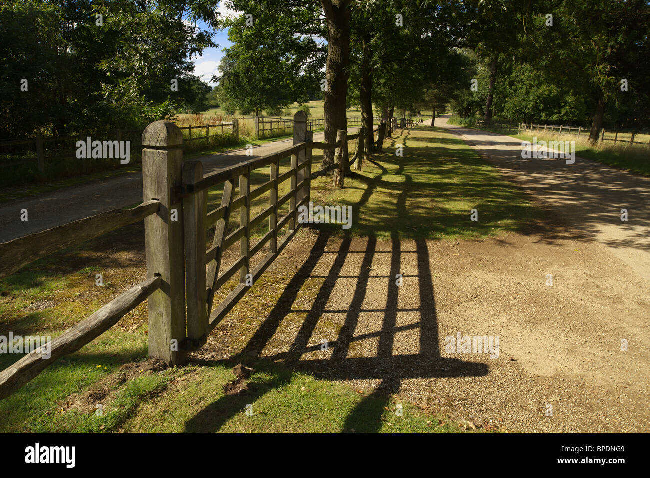 the grounds and gardens of a country estate Stock Photo - Alamy