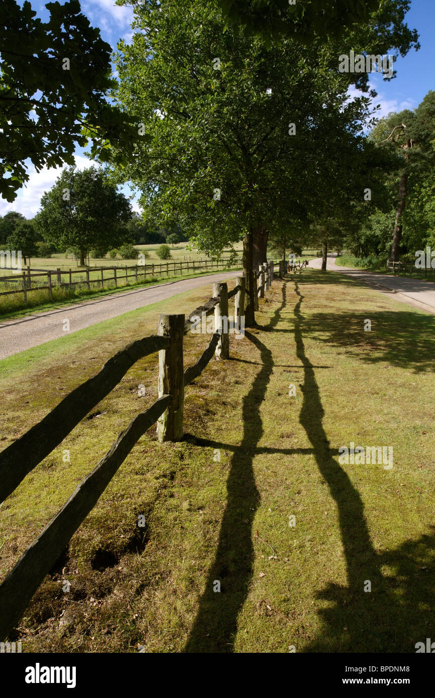 Country estate grounds hi-res stock photography and images - Alamy