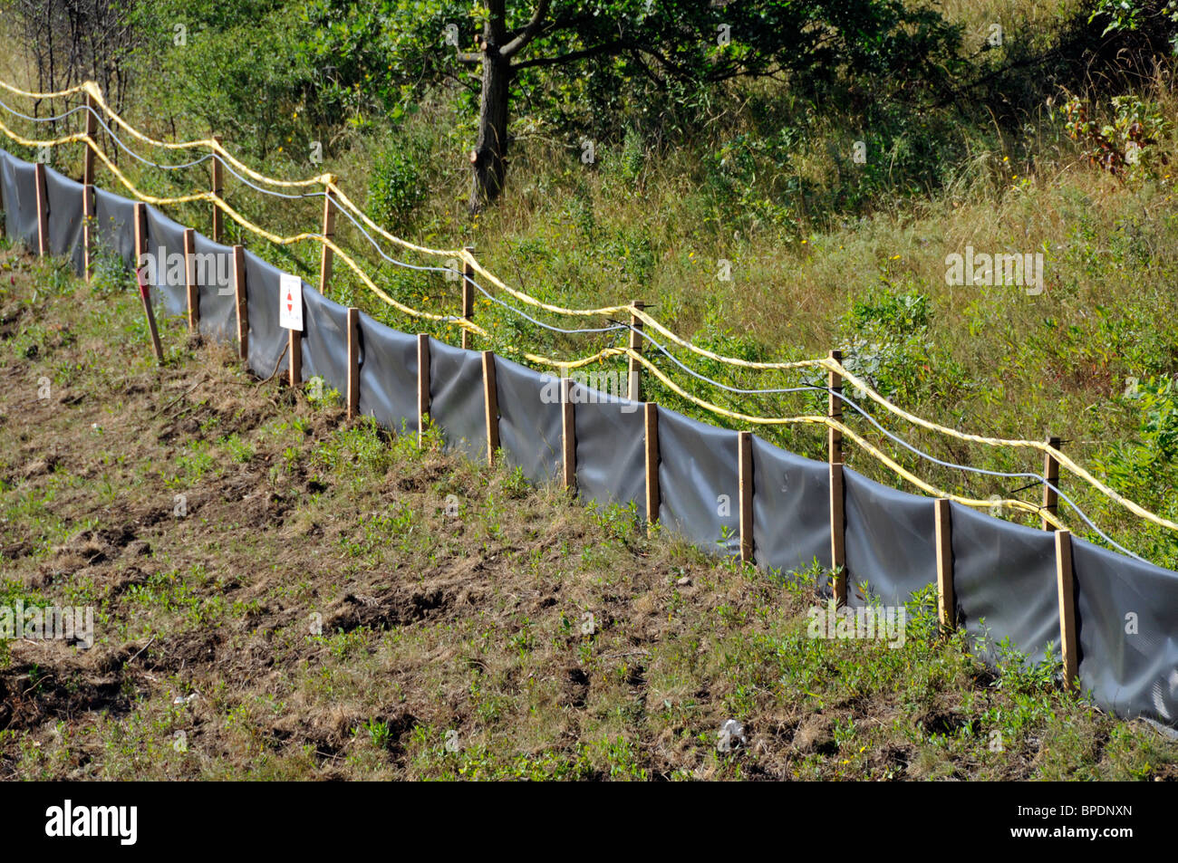 Plastic Newt reptile fencing erected on grass embankment prior to M25 ...