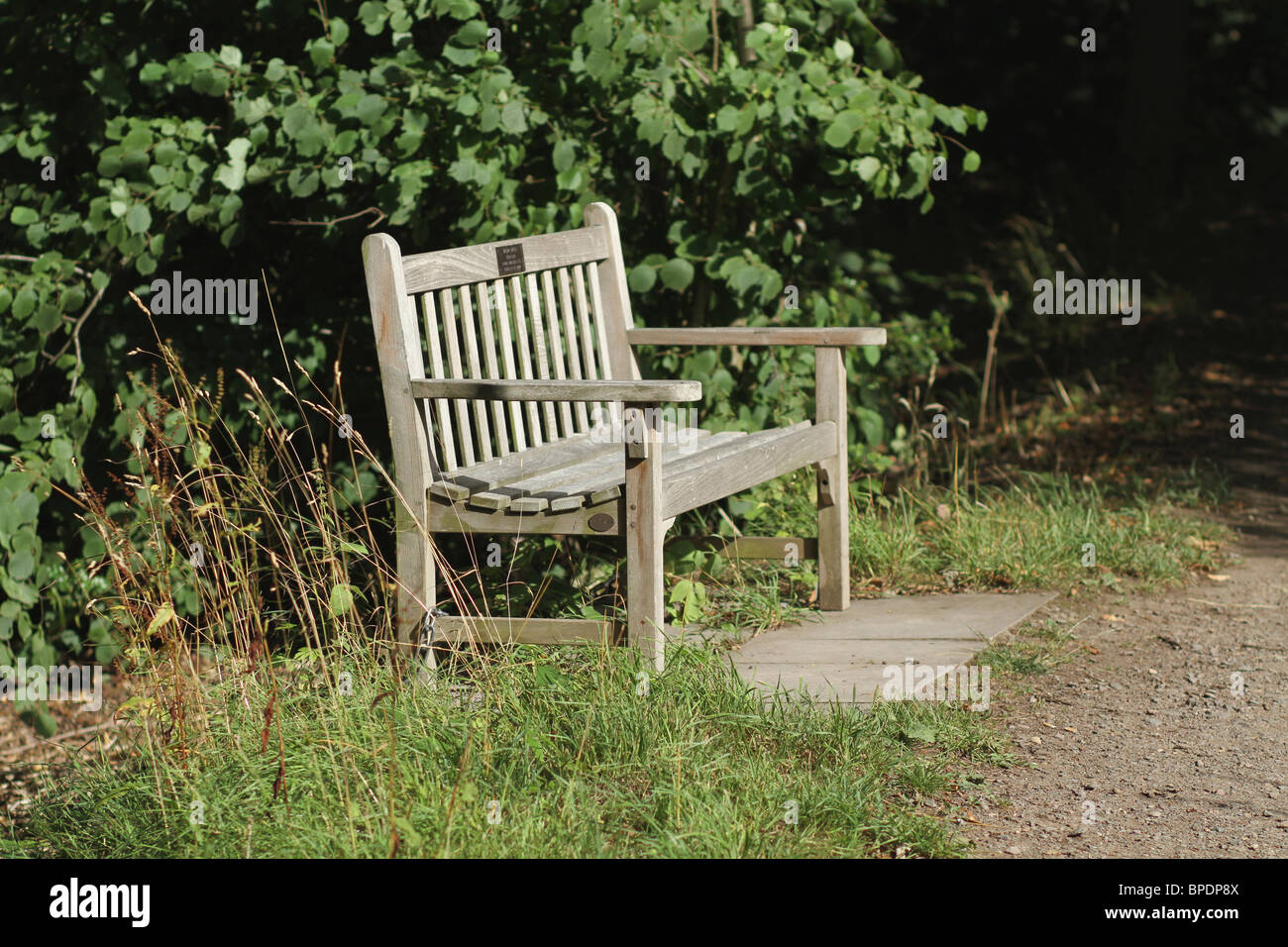 a bench in a country garden Stock Photo - Alamy