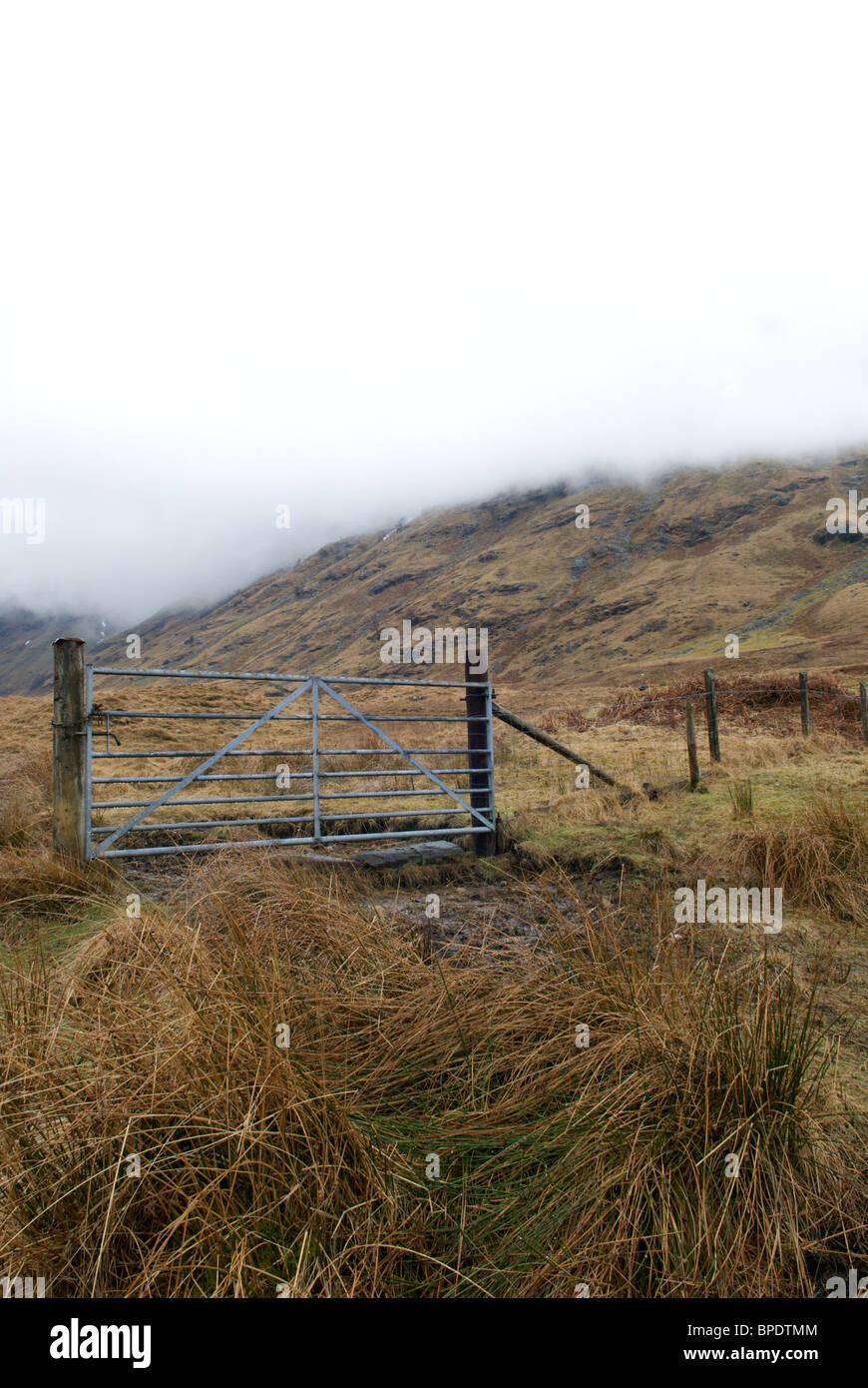 Low metal gate hi-res stock photography and images - Alamy