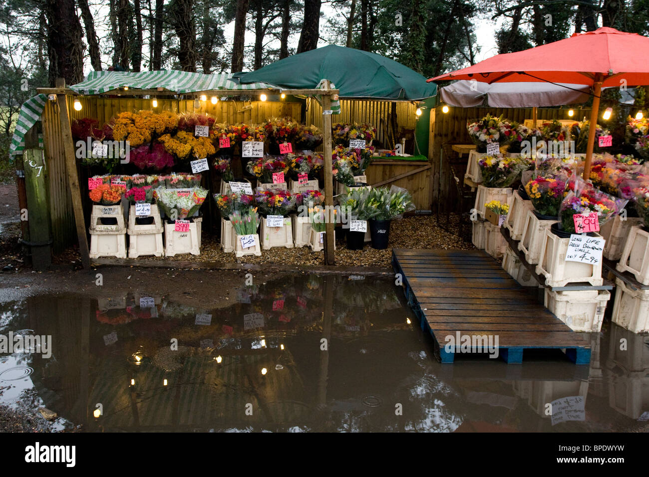 A roadside flower stall near Ringwood, Dorset Stock Photo - Alamy