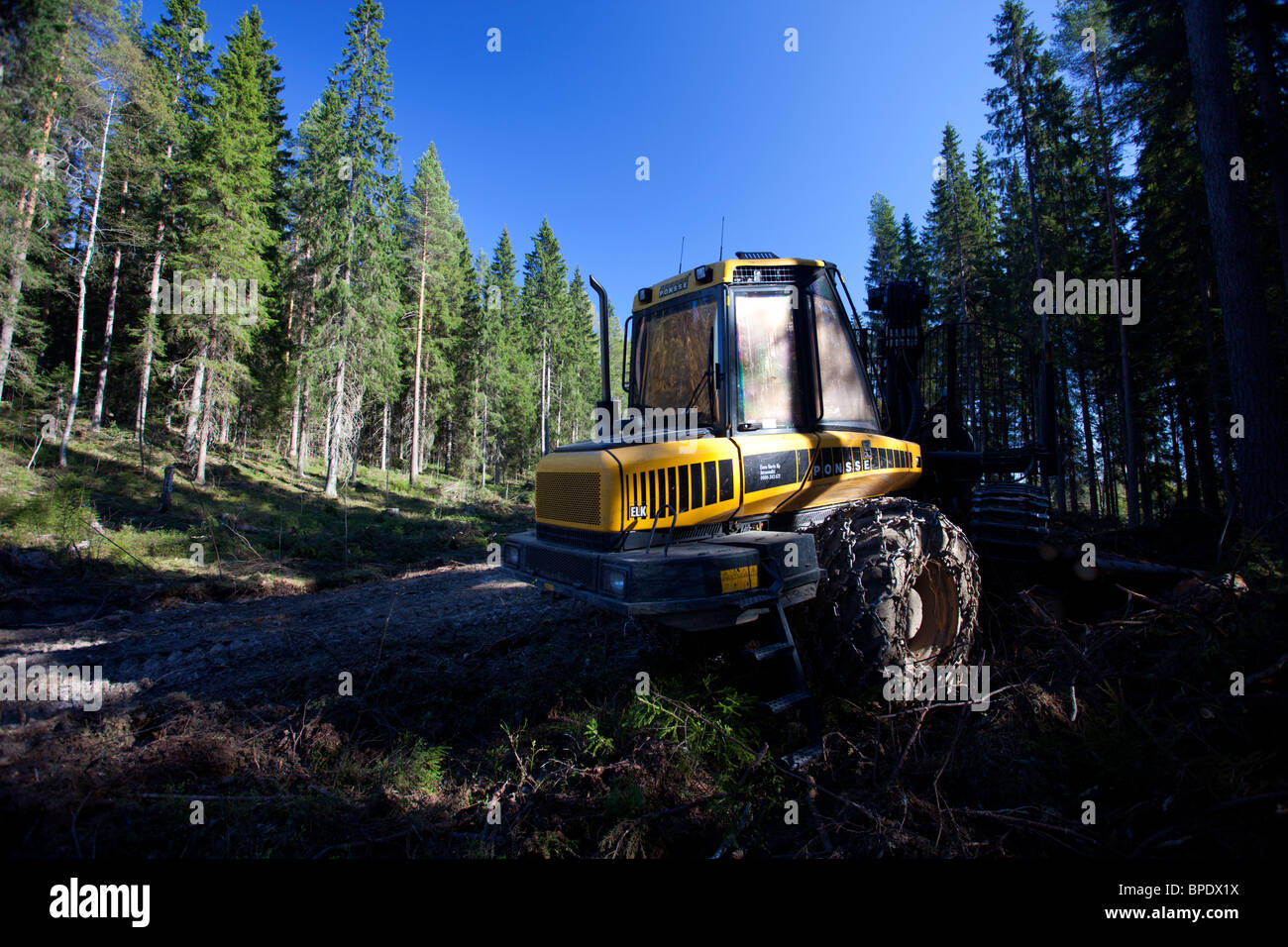 One modern forestry machine hi-res stock photography and images - Alamy
