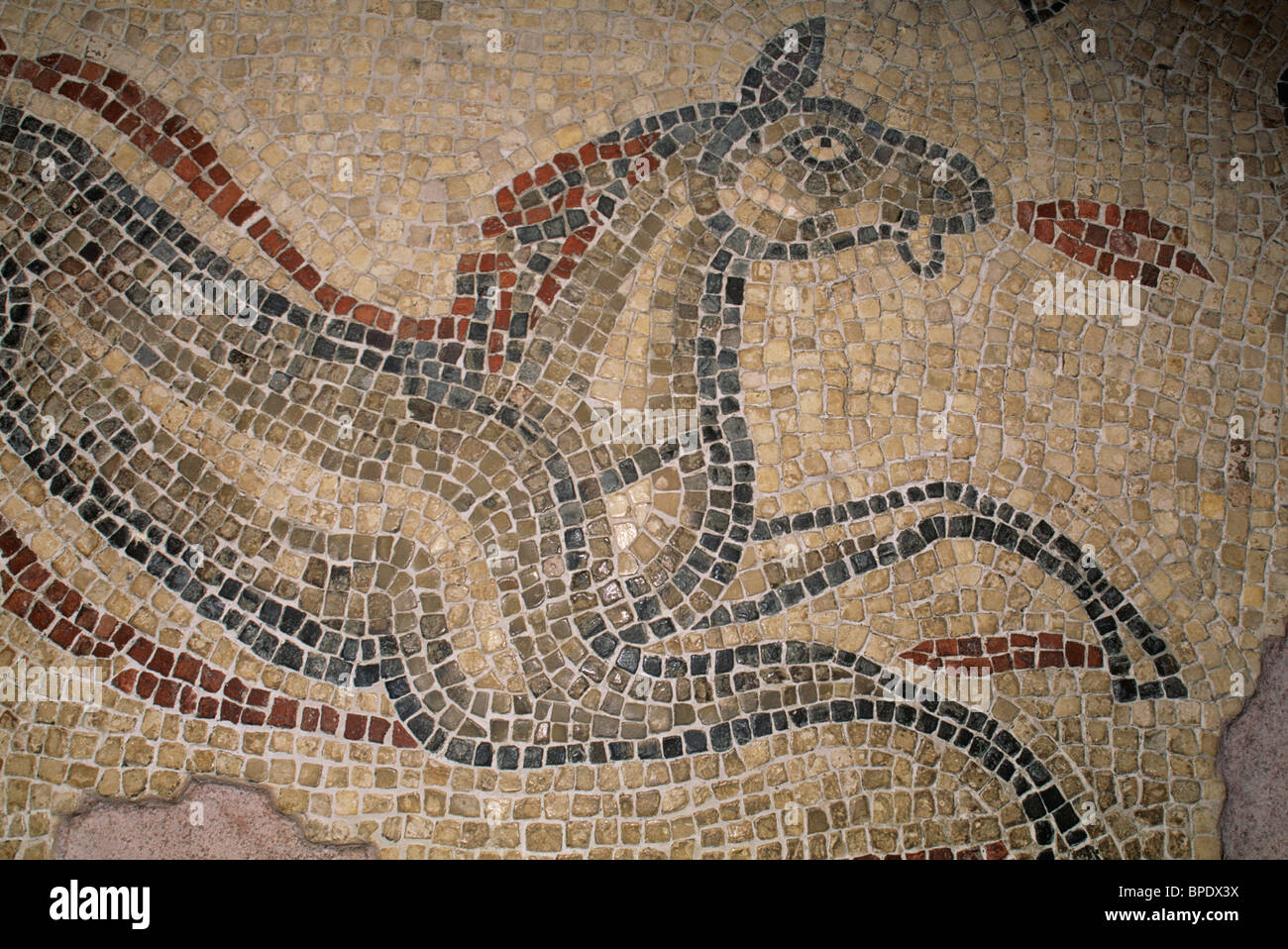 United Kingdom, England, Bath, tile mosaic, Roman Baths Stock Photo - Alamy