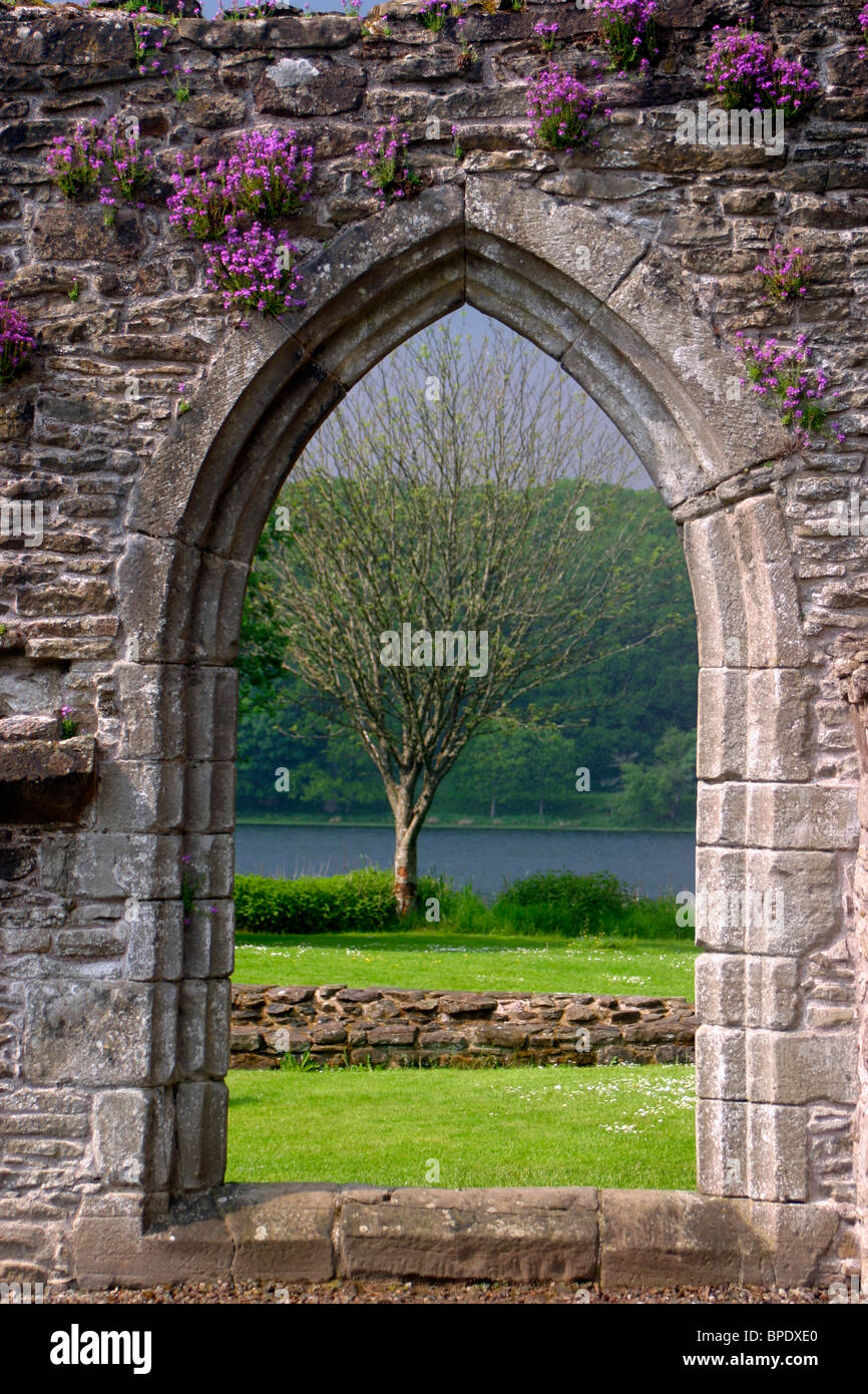 Great Britain, United Kingdom, Scotland. Ruins of Lochleven Castle ...