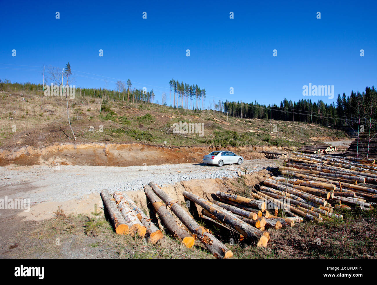 A car in on logging road and recently harvested clearcut area , Finland ...