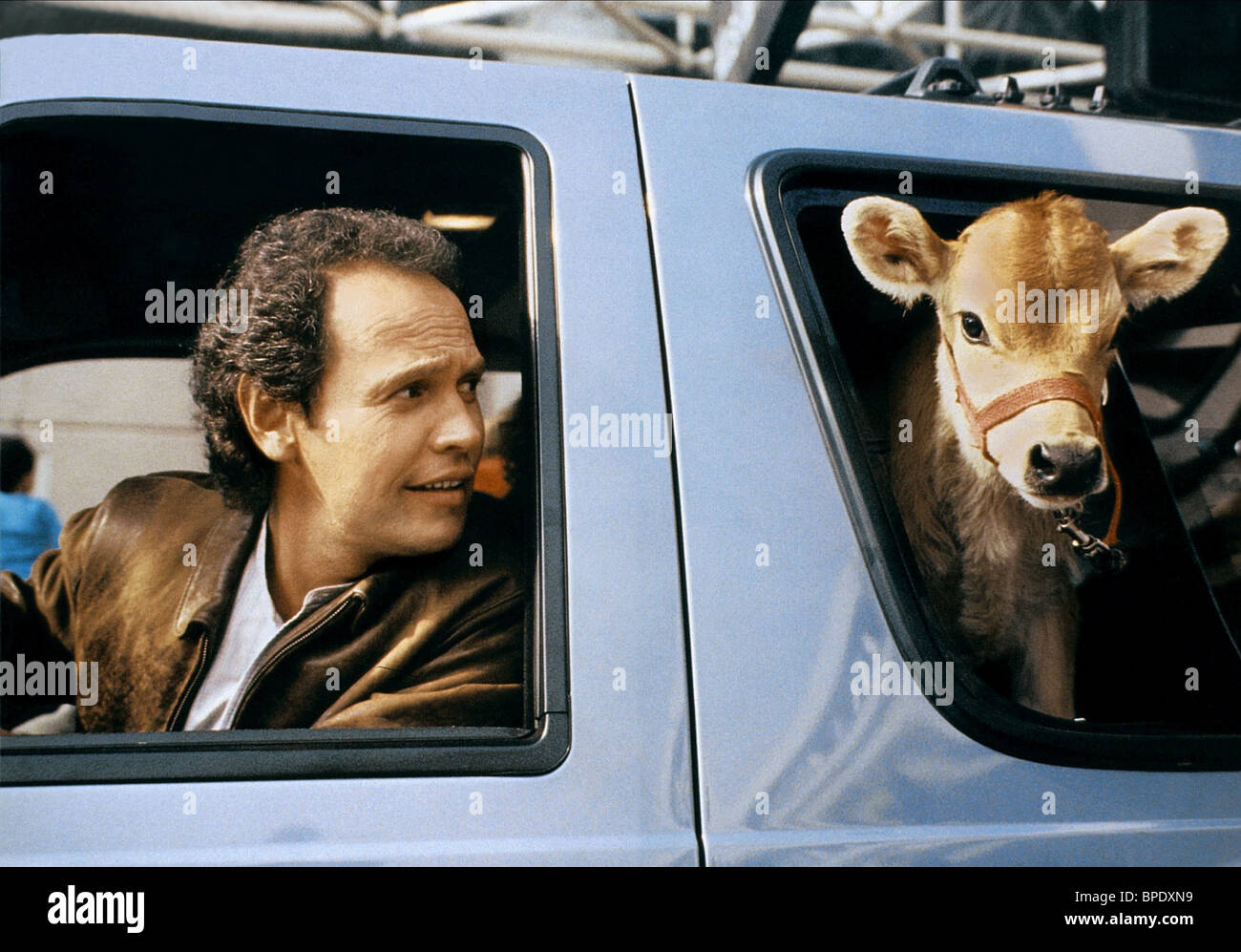 Film City Slickers High Resolution Stock Photography and Images - Alamy