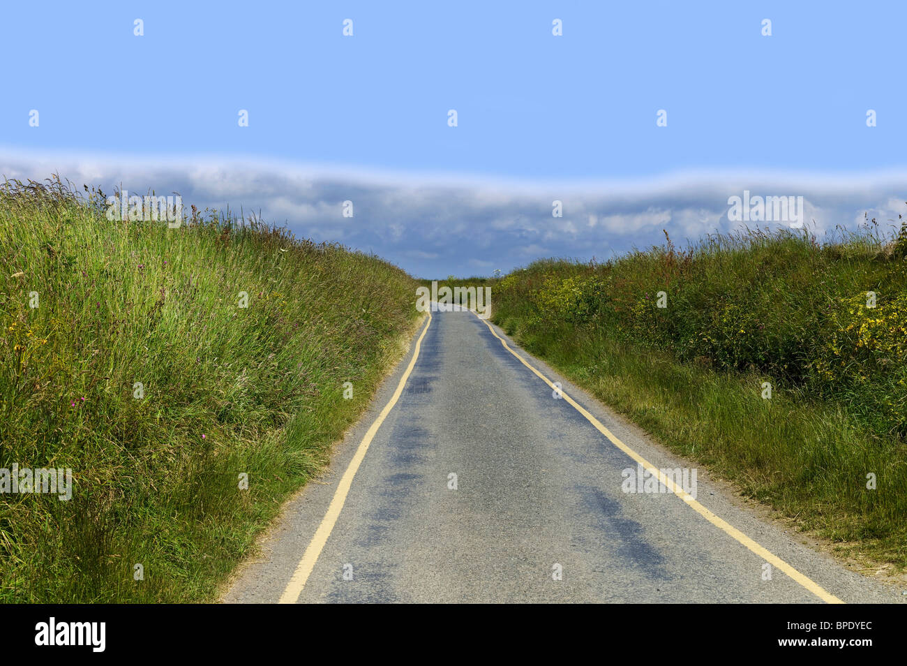 country lane in the pembrokeshire national park uk Stock Photo - Alamy