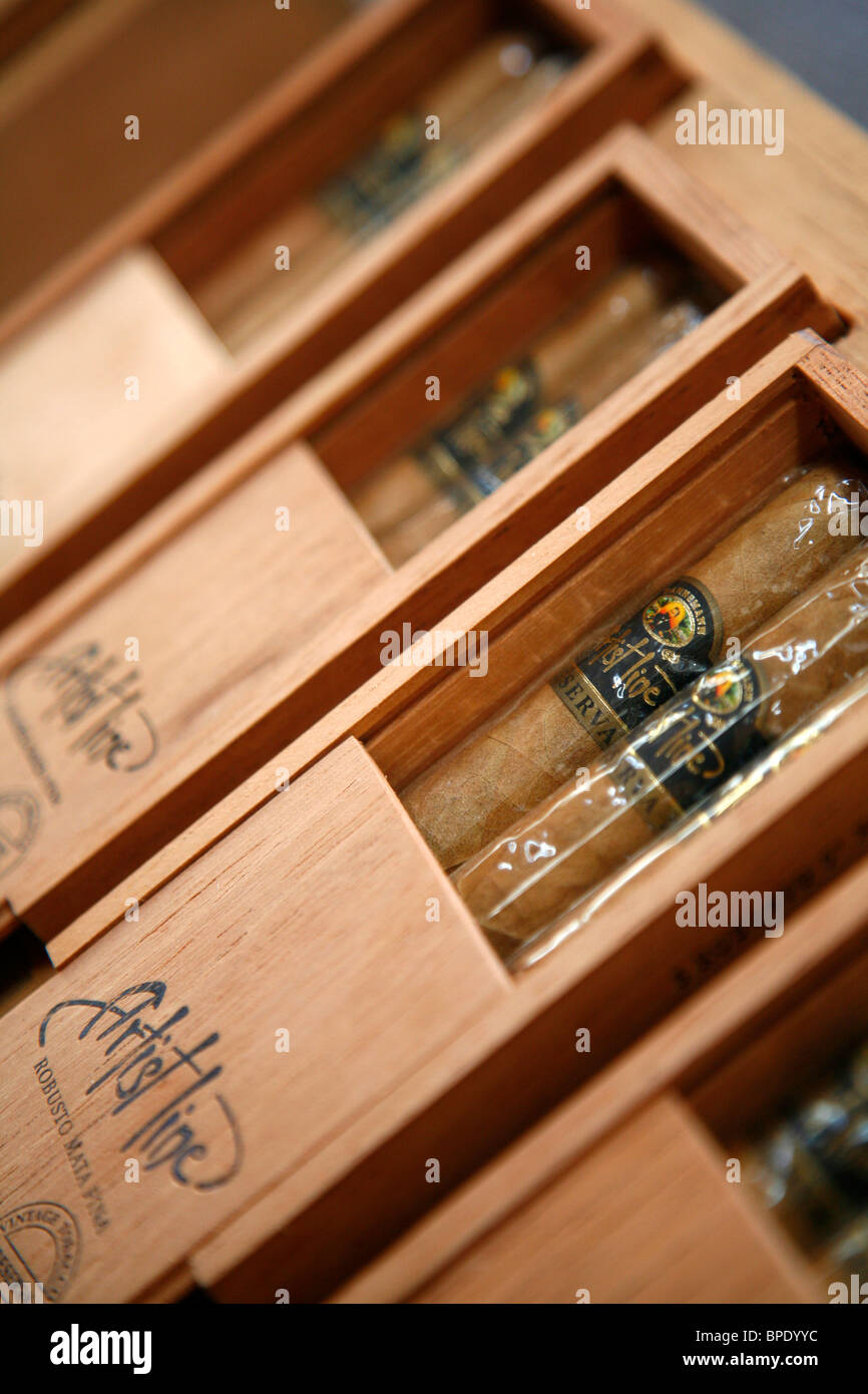 Cigars at the Dannemann factory in Sao Felix, Bahia, Brazil Stock Photo ...