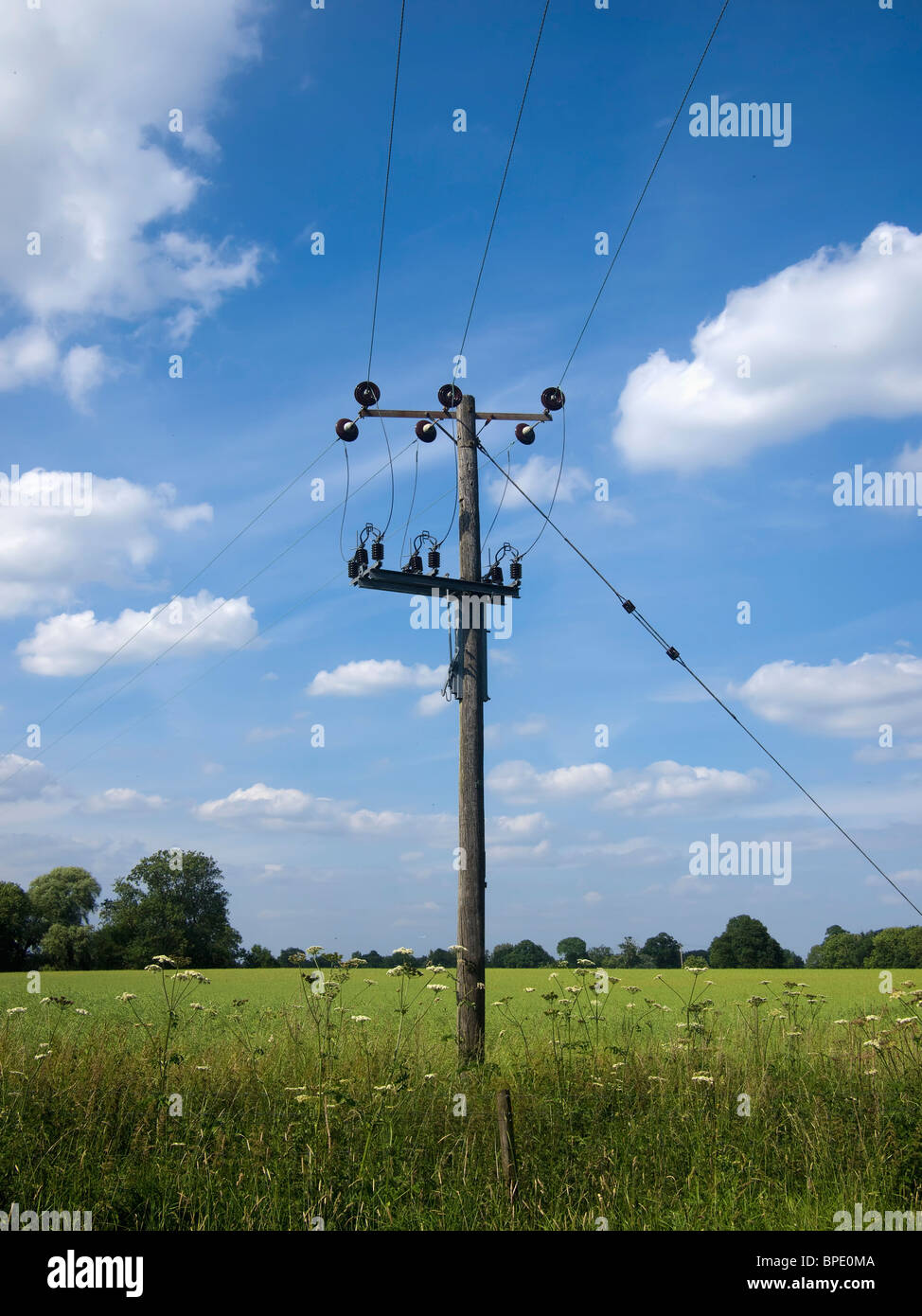 telephone cables and wires Stock Photo - Alamy