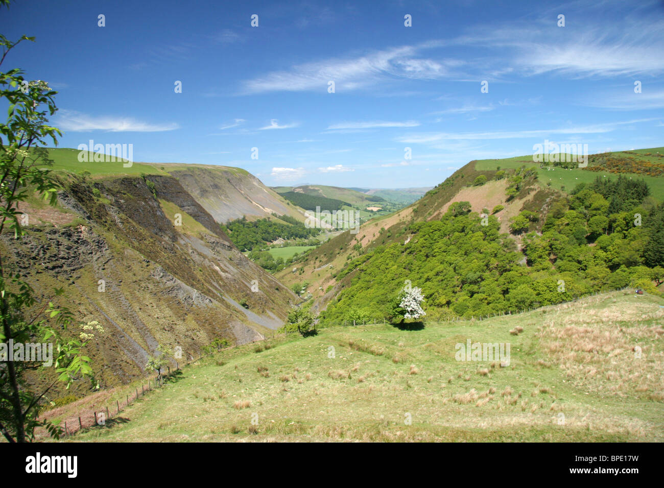 Dylife hi-res stock photography and images - Alamy