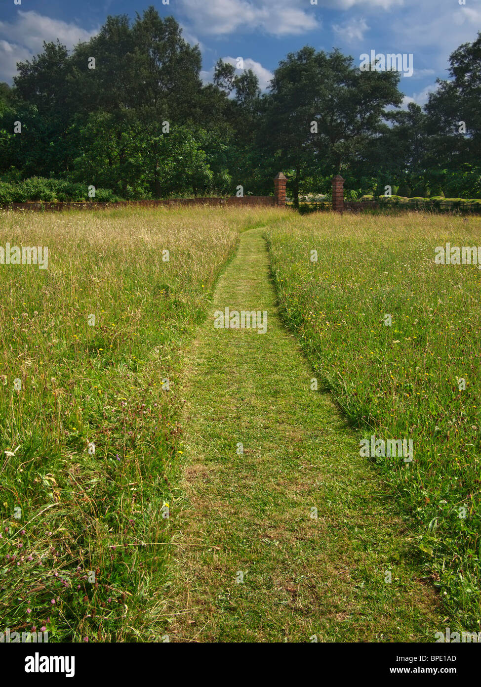 footpath through vegetation Stock Photo - Alamy