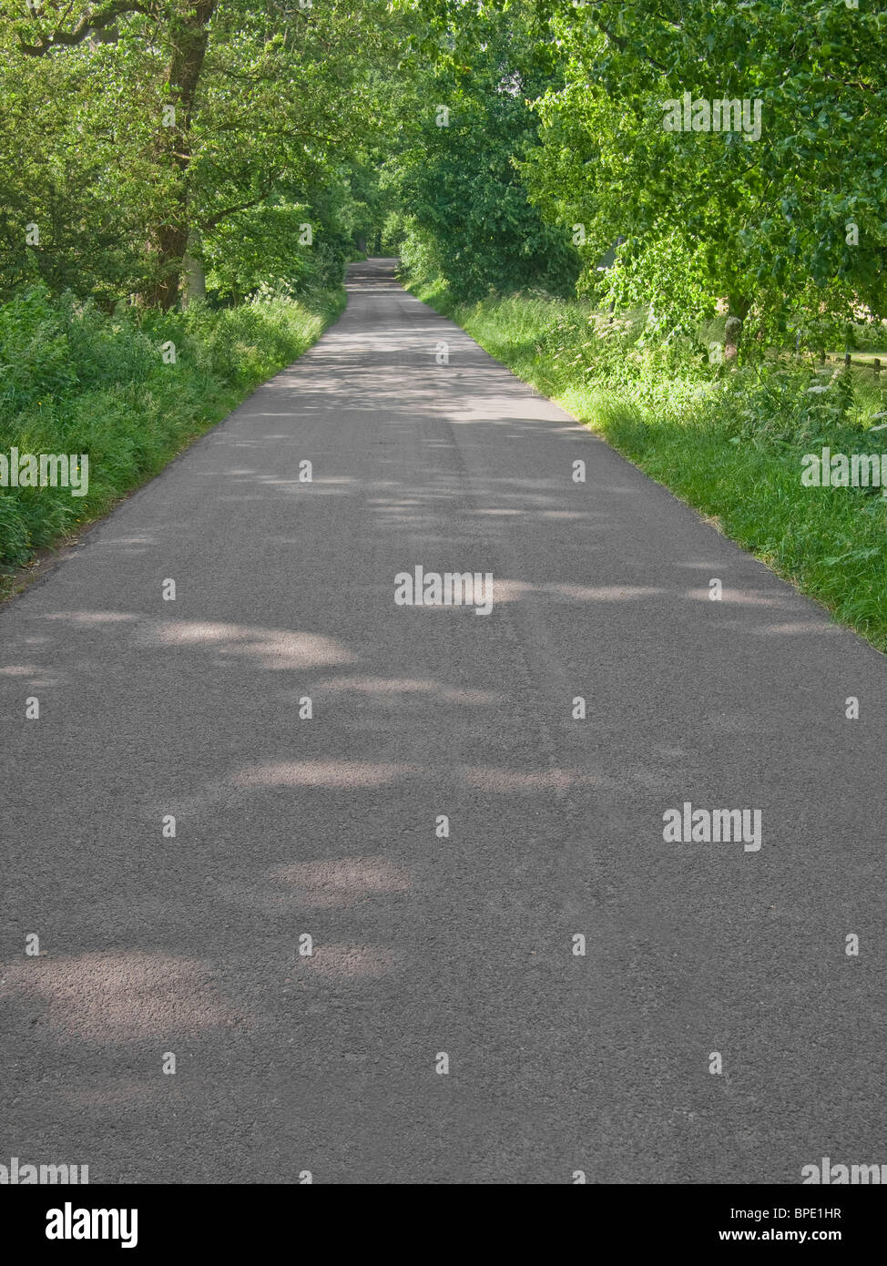 a country lane through trees Stock Photo - Alamy