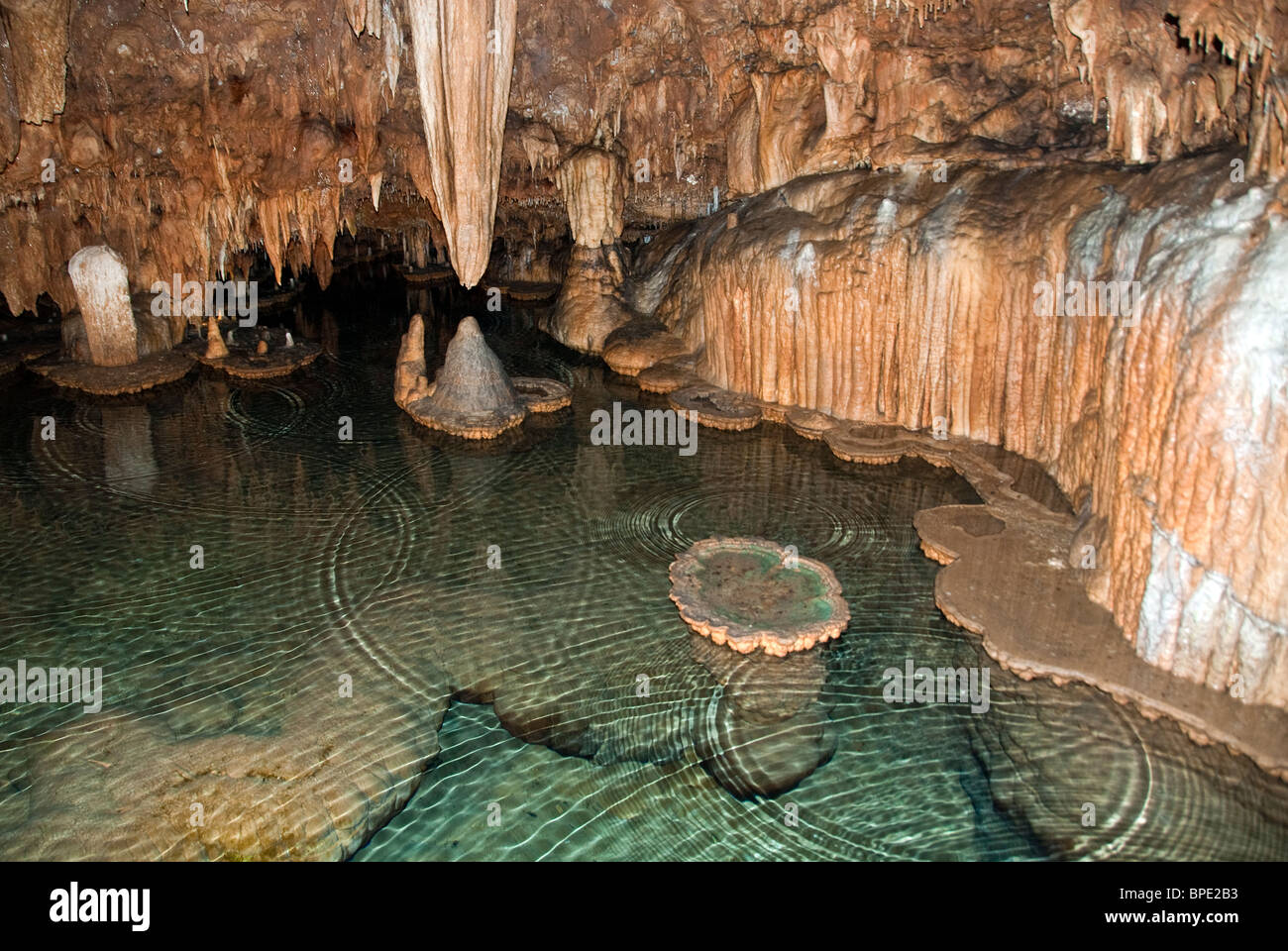 Lily Pad Room Onondaga Cave State Park Missouri USA Stock Photo - Alamy