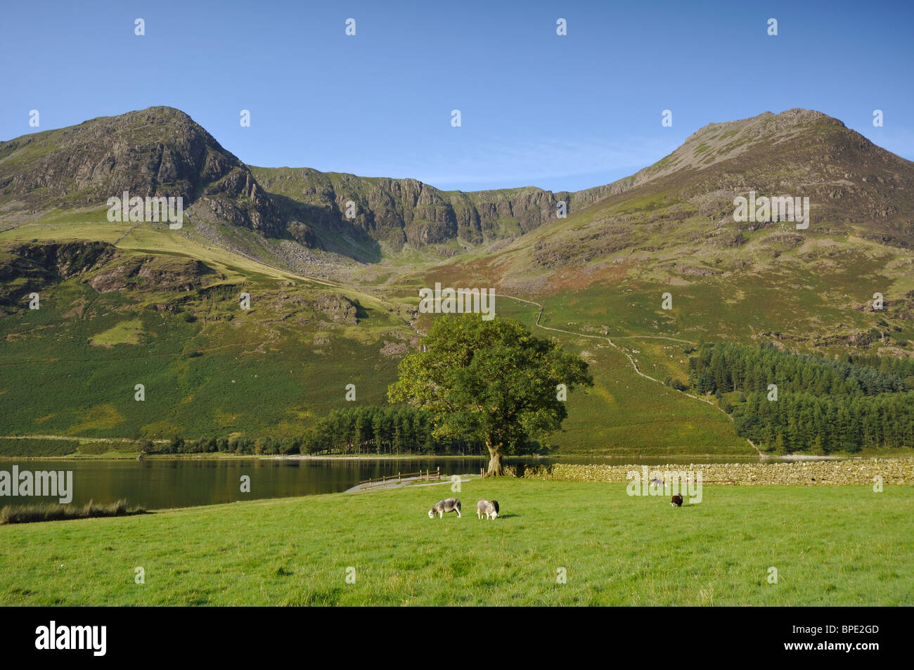Buttermere fells hi-res stock photography and images - Alamy