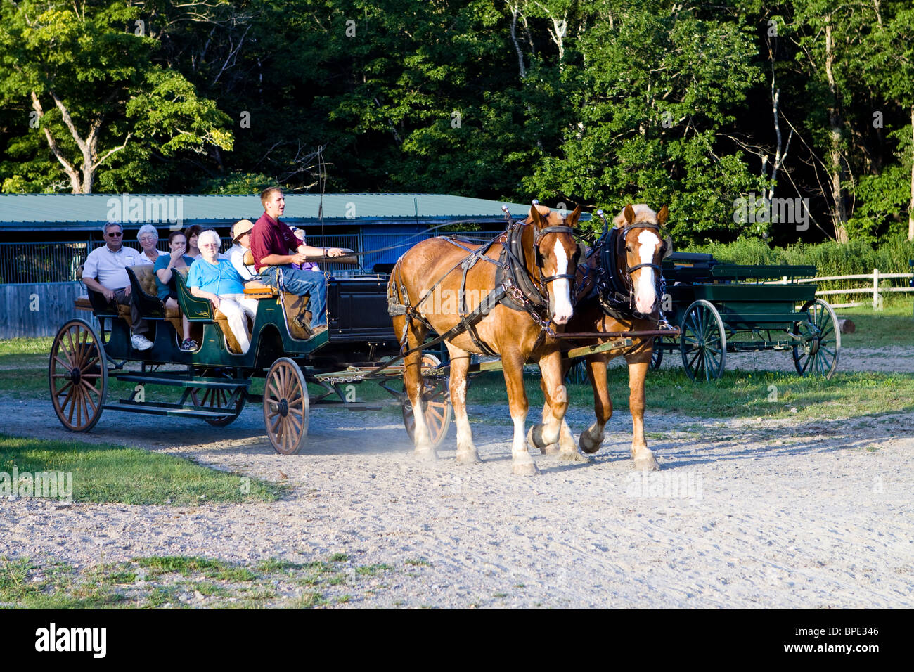 Carriage full of tourists being pulled by horses in Acadia National ...