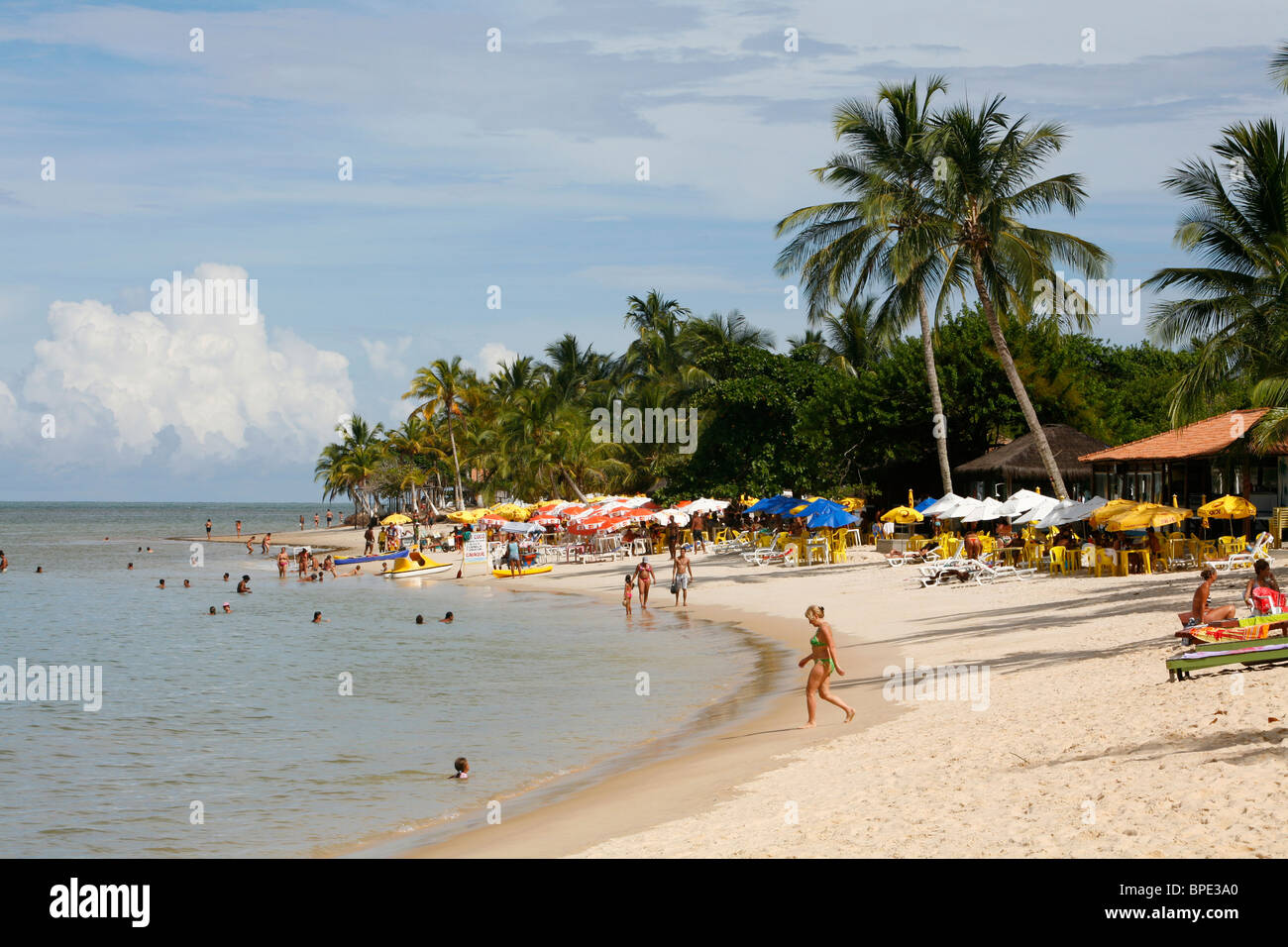 Coroa vermelha hi-res stock photography and images - Alamy
