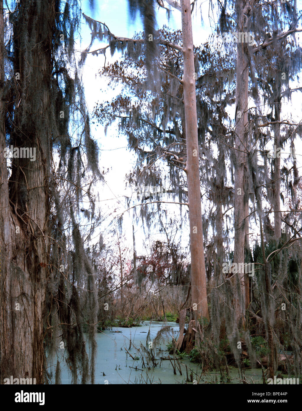 Launch & fishing on Lake Orange Stock Photo - Alamy