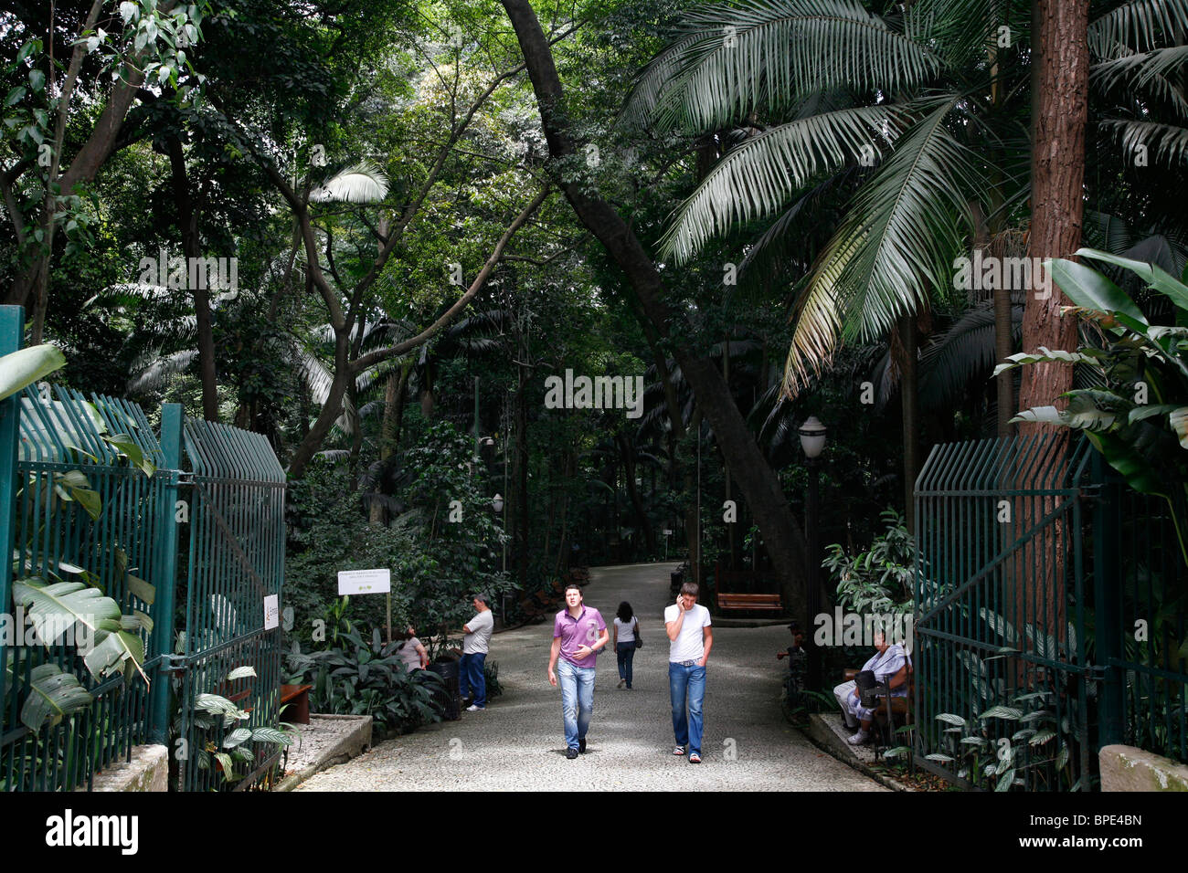 Parque Trianon, Sao Paulo, Brazil Stock Photo - Alamy