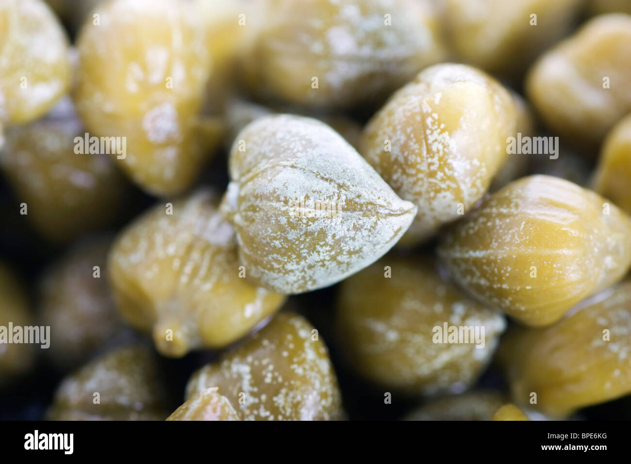 Close up of Capers Stock Photo - Alamy