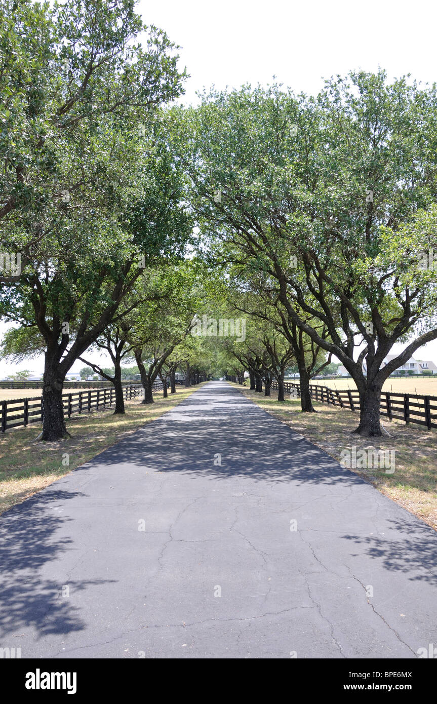 Southfork ranch, Texas, USA - form popular TV series "Dallas Stock ...