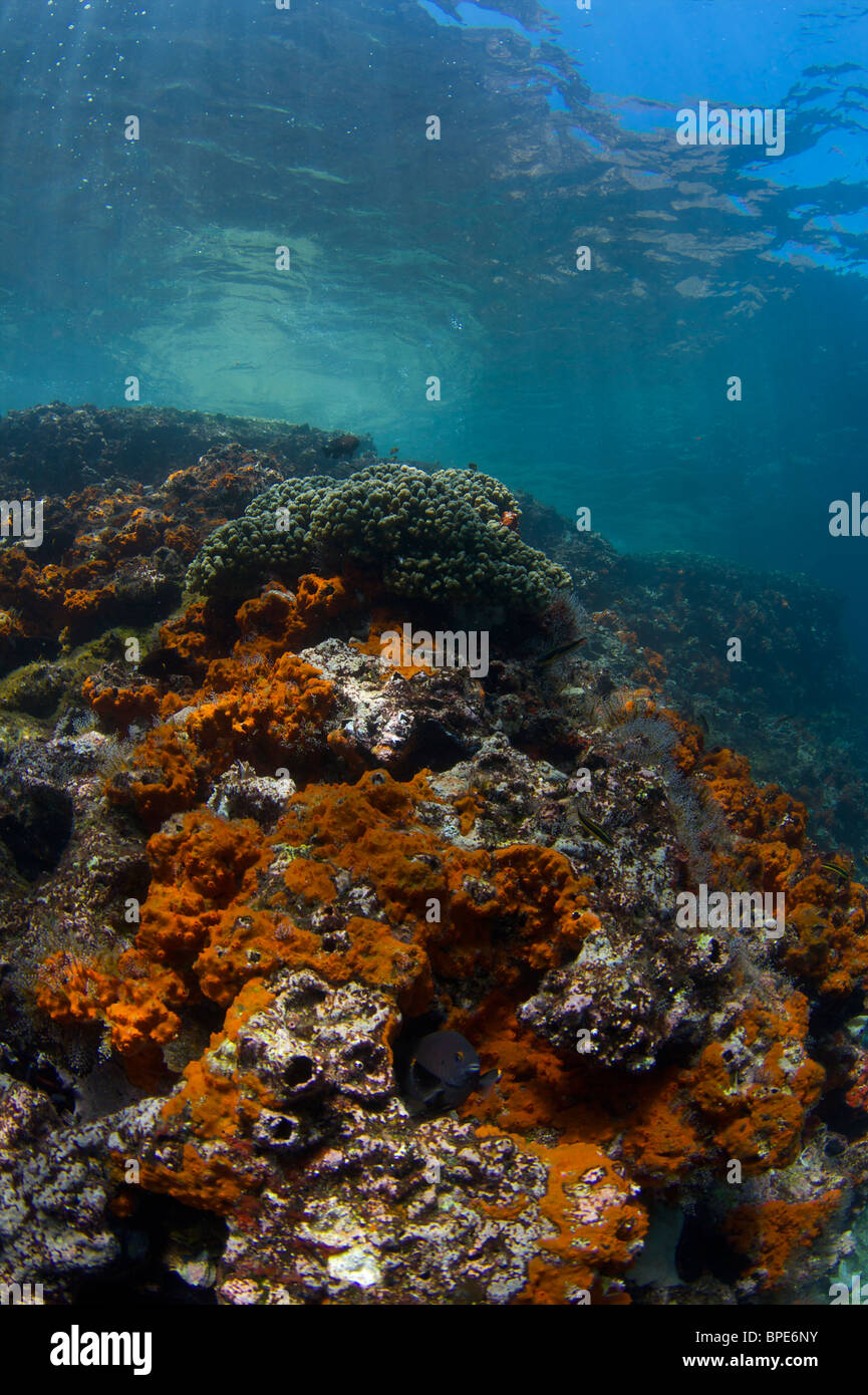 Ocean currents hi-res stock photography and images - Alamy