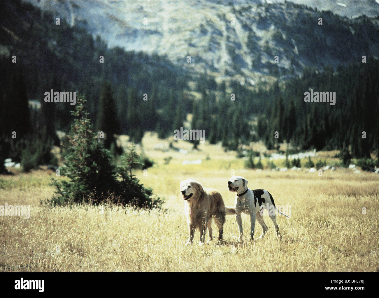 Hope Burnford High Resolution Stock Photography and Images - Alamy