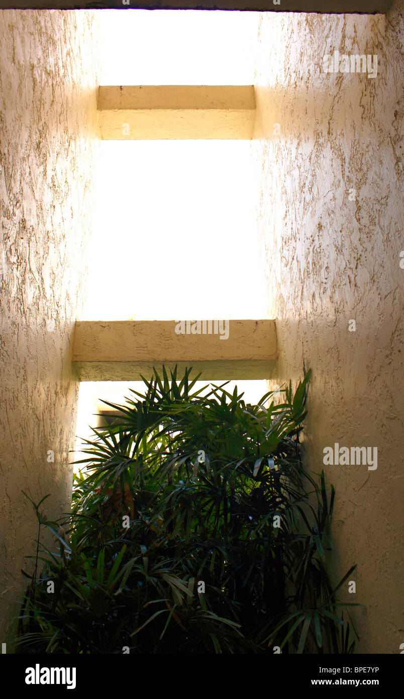 Open window structure with palm plant and daylight Stock Photo - Alamy