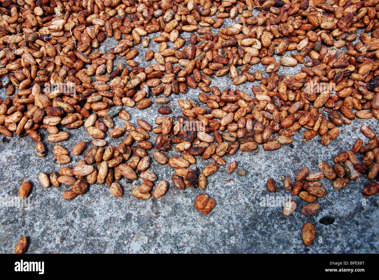 Seamless coffee beans texture hi-res stock photography and images - Alamy