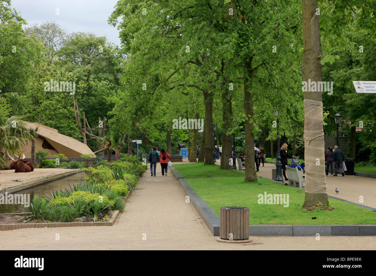 Artis Zoo in Amsterdam Stock Photo - Alamy
